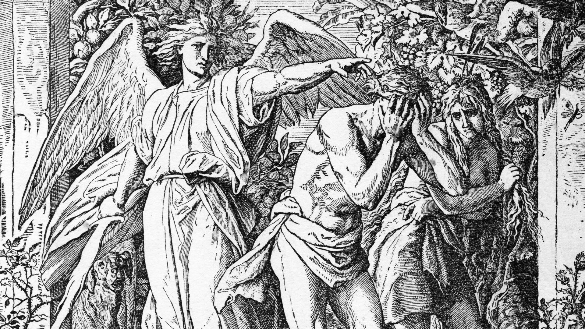 亞當是首先的人——這一點重要嗎？