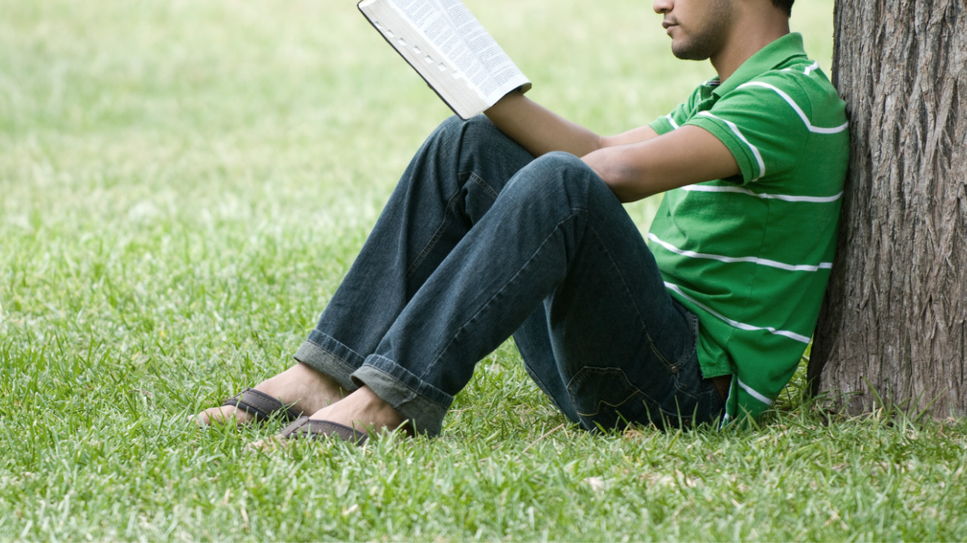 坚持读经，哪怕似懂非懂